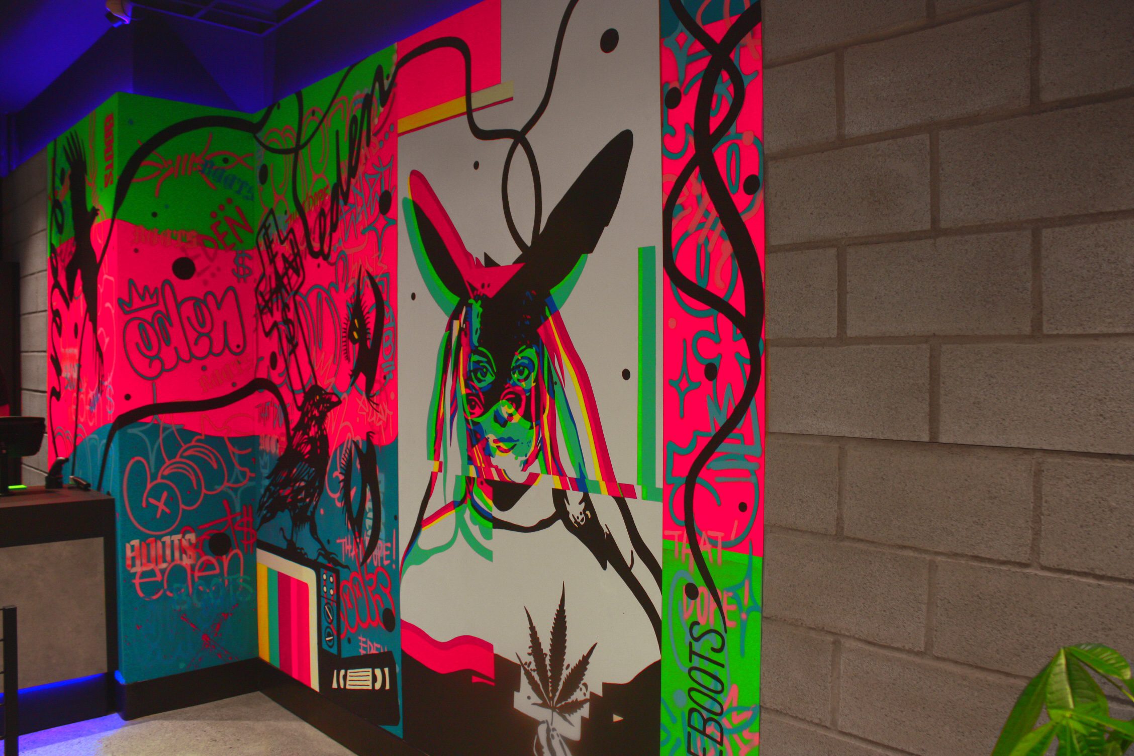 Fraser Interior Mural 2 | Cannabis Retailer